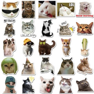 10/30/50PCS Funny Cat Meme Cartoon Sticker | Cute Cat Sticker for ...