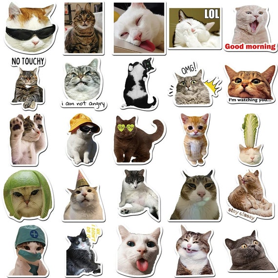 Oddio Meme Gatto