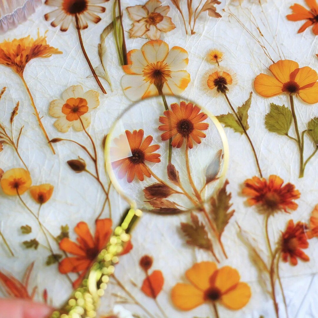 50PCS Pressed Flower Stickers Set – Realistic PET Floral Stickers for ...
