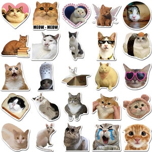 10/30/50PCS Funny Cat Meme Cartoon Sticker | Cute Cat Sticker for ...