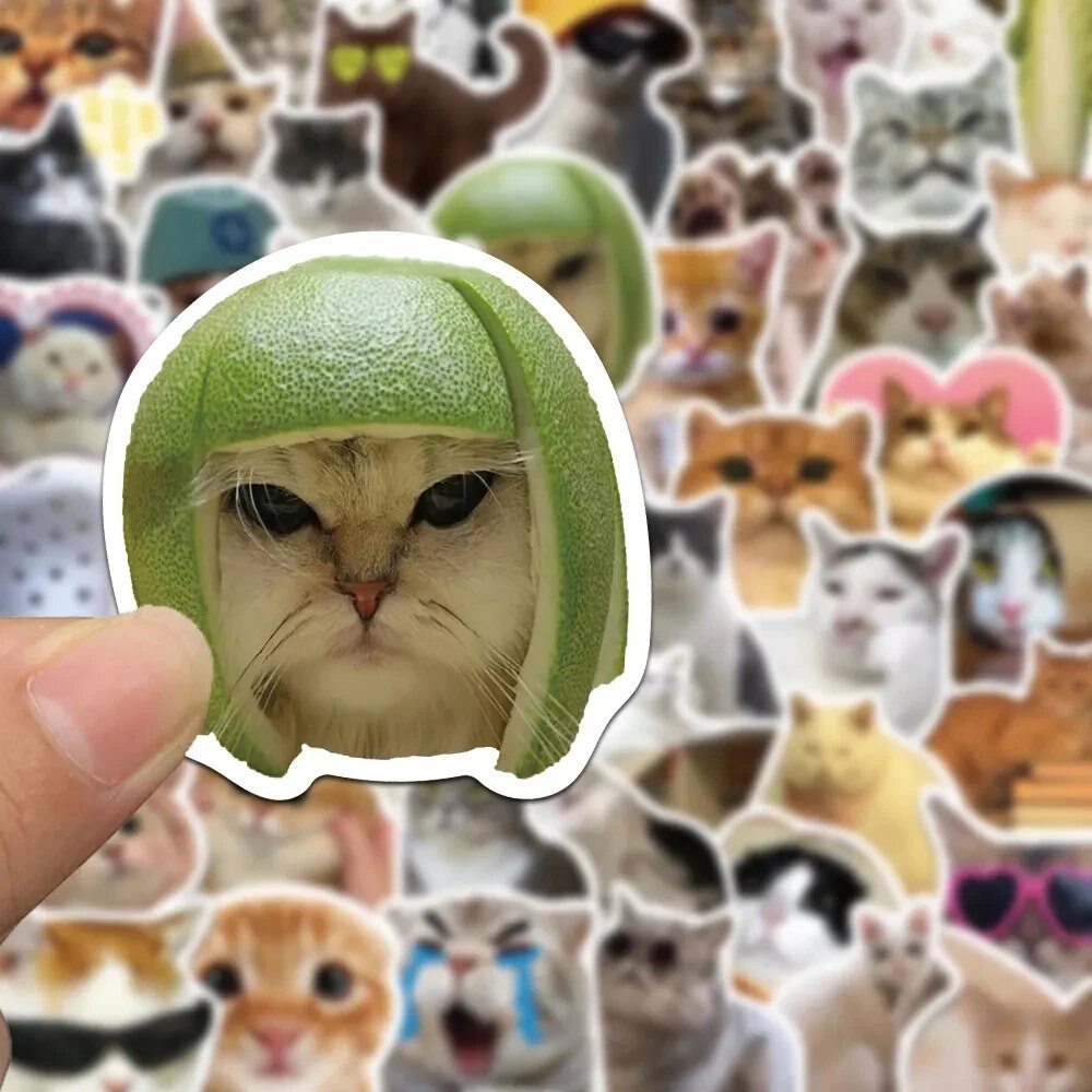 10/30/50PCS Funny Cat Meme Cartoon Sticker | Cute Cat Sticker for ...