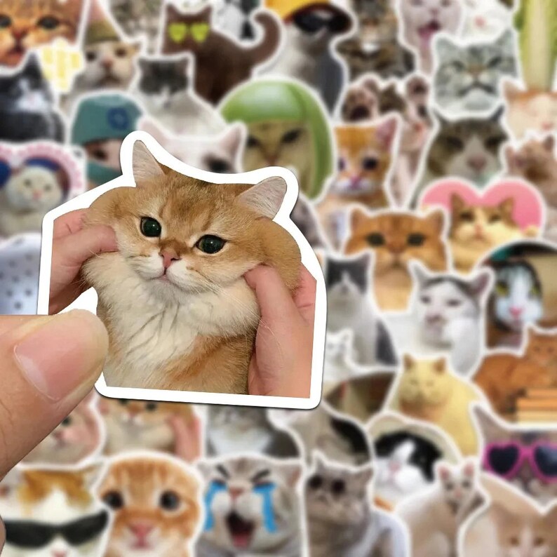 10/30/50PCS Funny Cat Meme Cartoon Sticker | Cute Cat Sticker for ...