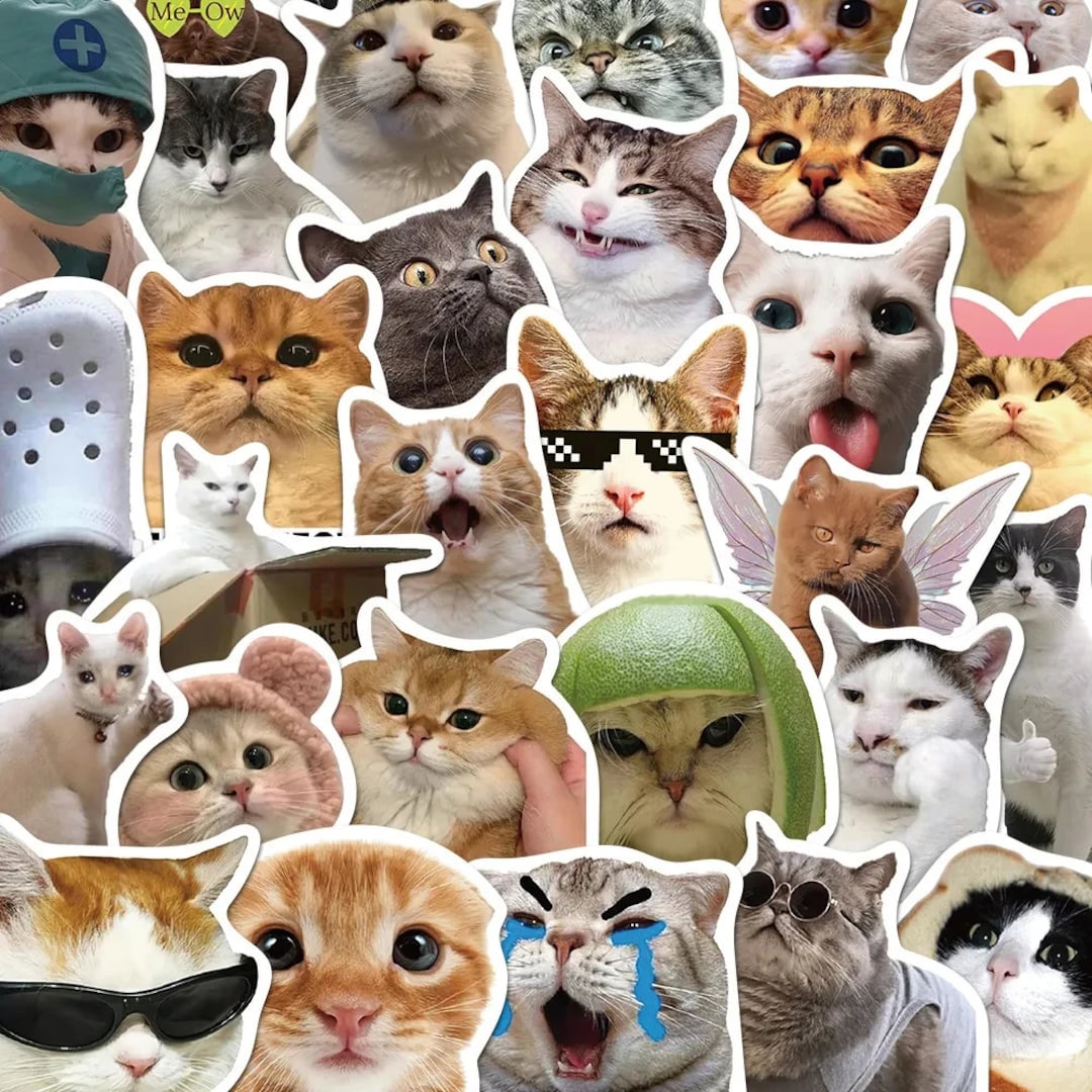 10/30/50PCS Funny Cat Meme Cartoon Sticker | Cute Cat Sticker for ...