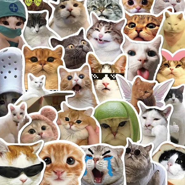 Stickers de gato - Etsy México