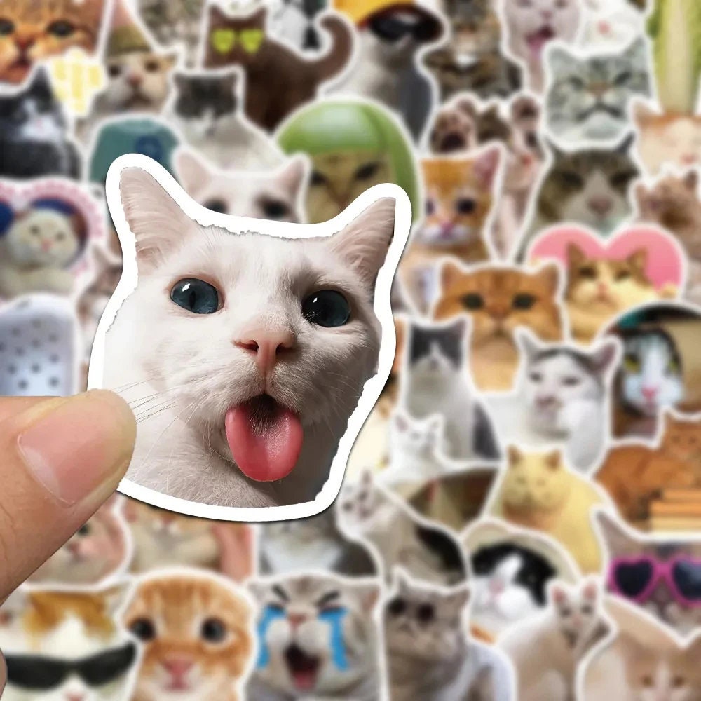 10/30/50PCS Funny Cat Meme Cartoon Sticker | Cute Cat Sticker for ...