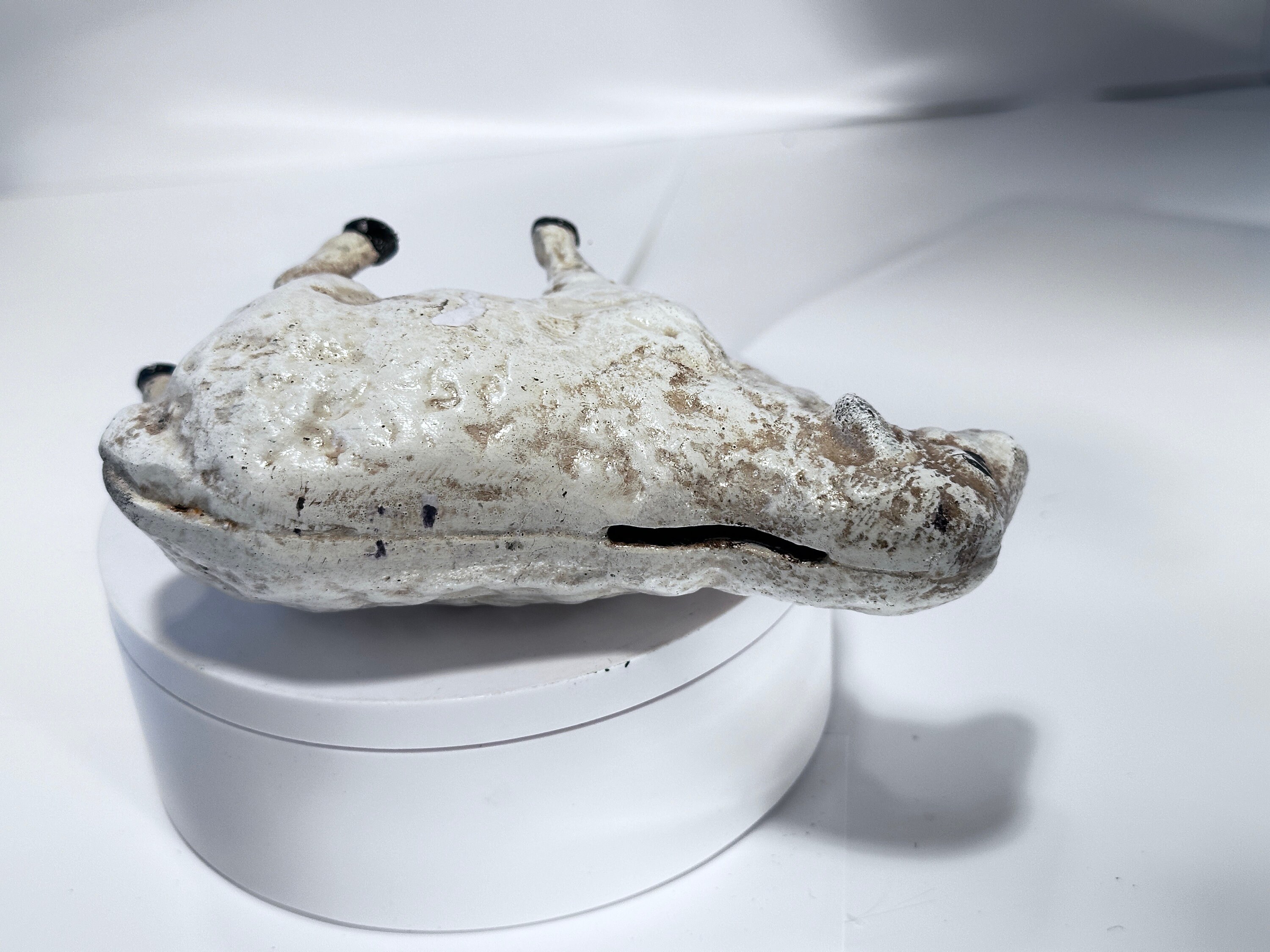 150 Year Old Sheep Still Bank - Etsy