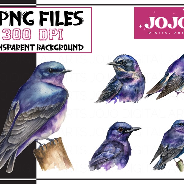 Purple Martin - Etsy