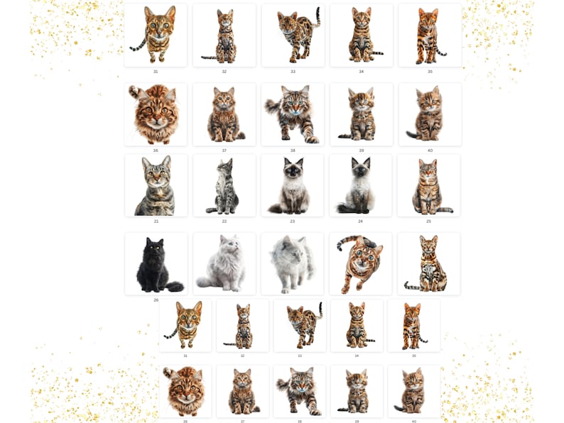 Huge Bundle - All 75 Cat Breeds 130 Cliparts 300 DPI Commercial Use - Etsy