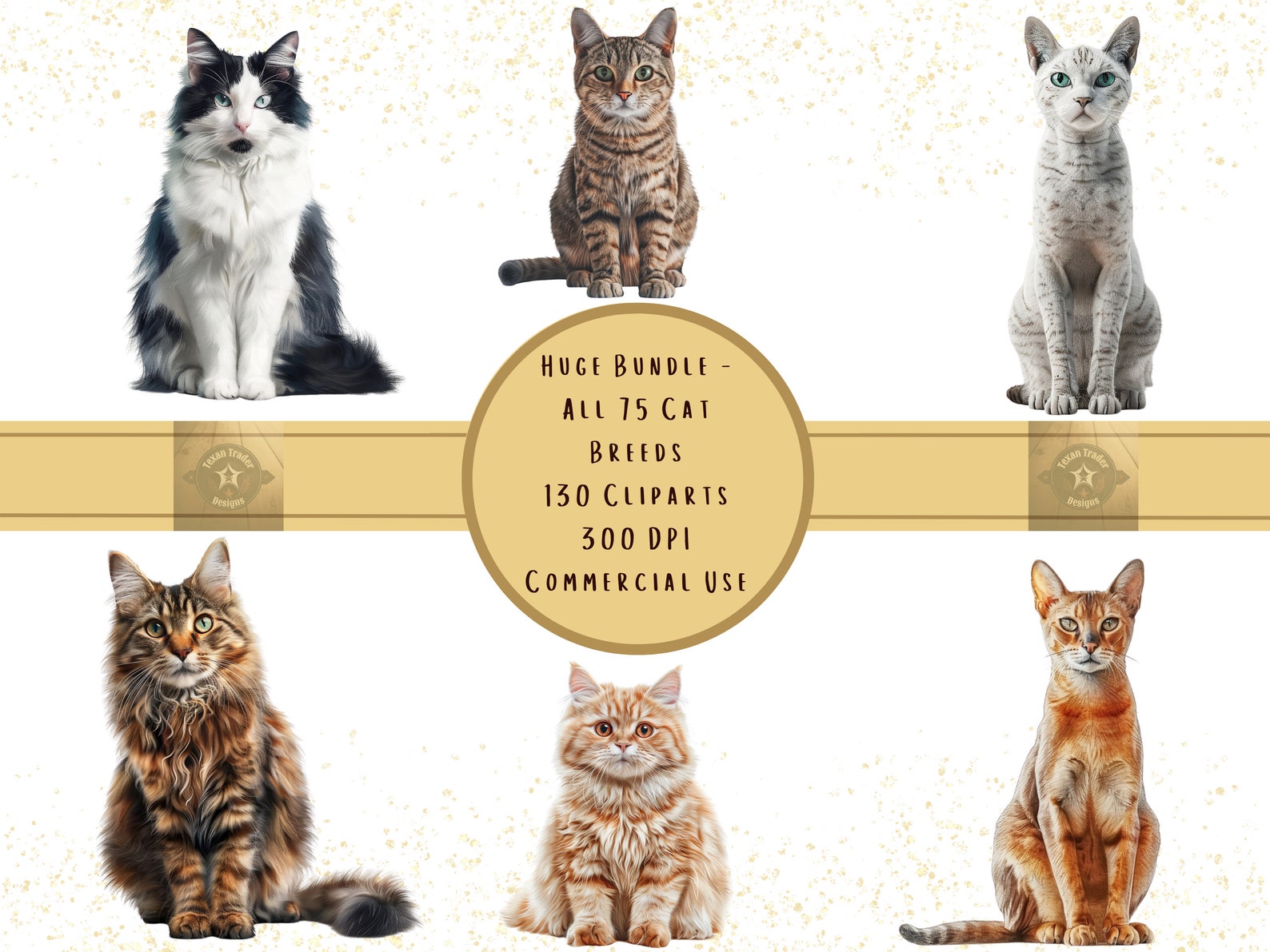 Huge Bundle - All 75 Cat Breeds 130 Cliparts 300 DPI Commercial Use - Etsy