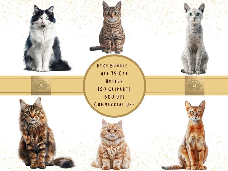 Huge Bundle - All 75 Cat Breeds 130 Cliparts 300 DPI Commercial Use - Etsy