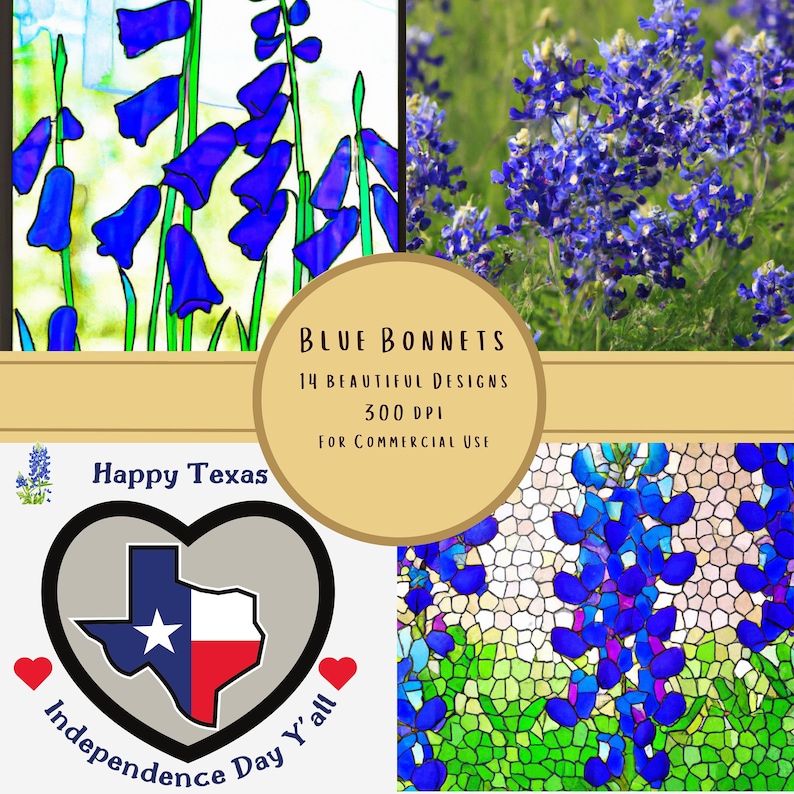 Bluebonnets Collection - Natural, Stain Glass and Cartoonified Digital ...