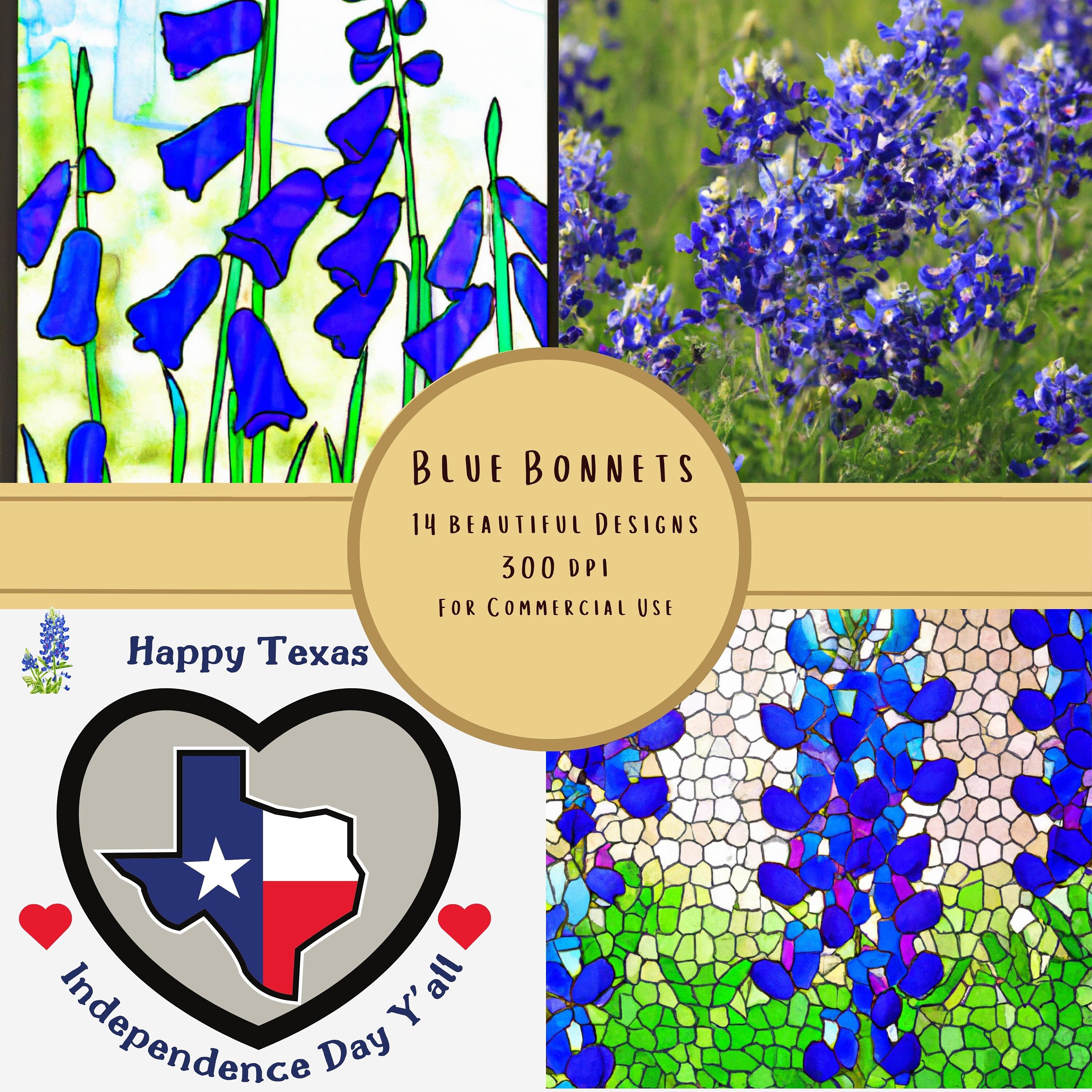 Bluebonnets Collection - Natural, Stain Glass and Cartoonified Digital ...