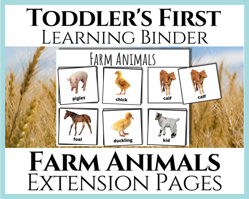 Farm Animals Toddler Learning Binder Extension Pages - Etsy