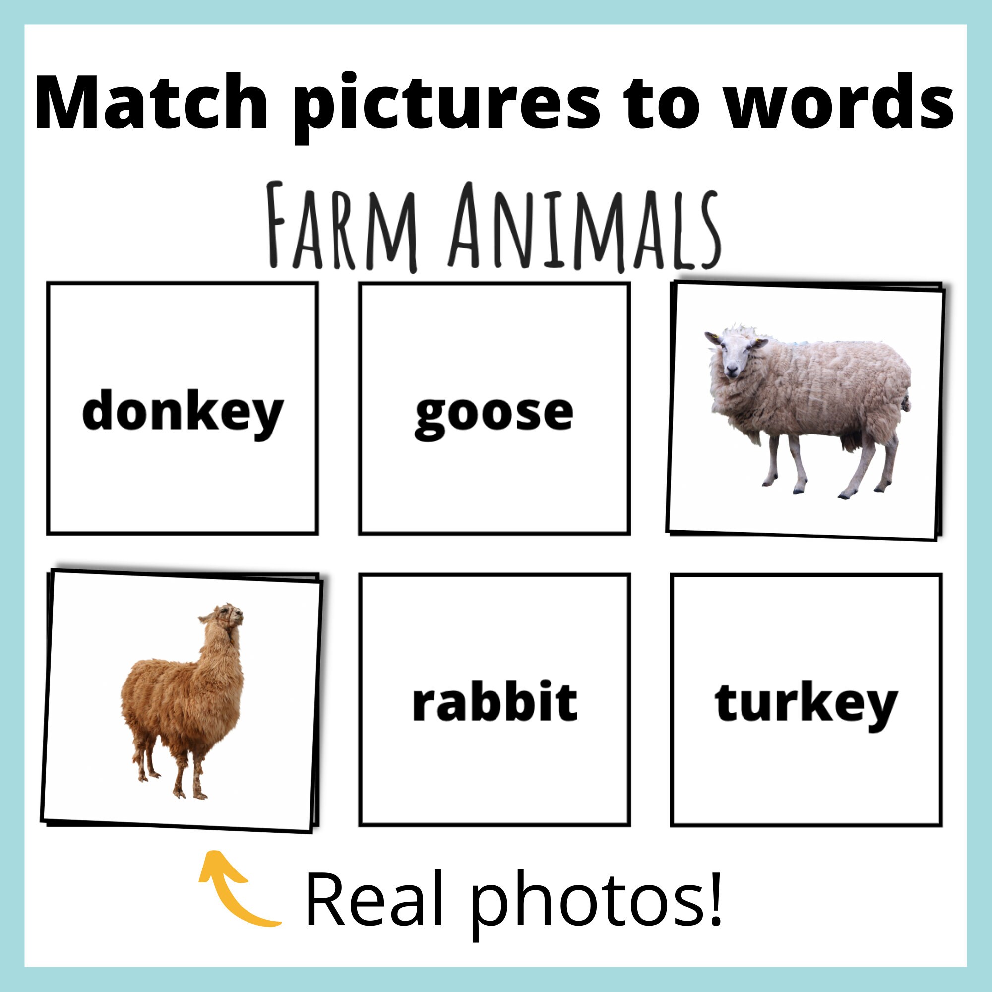 Farm Animals Toddler Learning Binder Extension Pages - Etsy