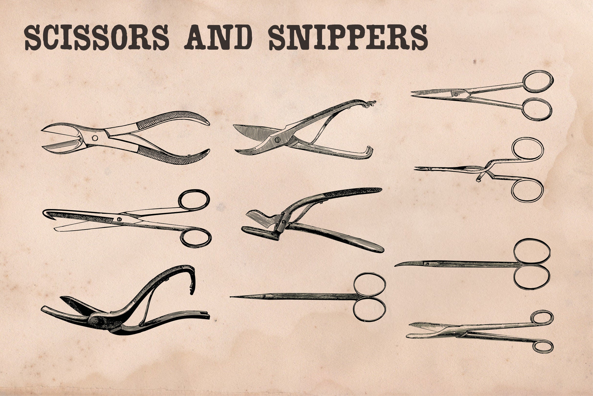 156 Doctor's Tools Illustrations, SVG Vector & PNG Format, Public ...
