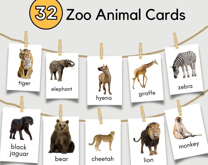 Zoo Animal Cards Flash Cards Children Toddler Printable Digital ...