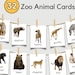 Zoo Animal Cards Flash Cards Children Toddler Printable Digital ...