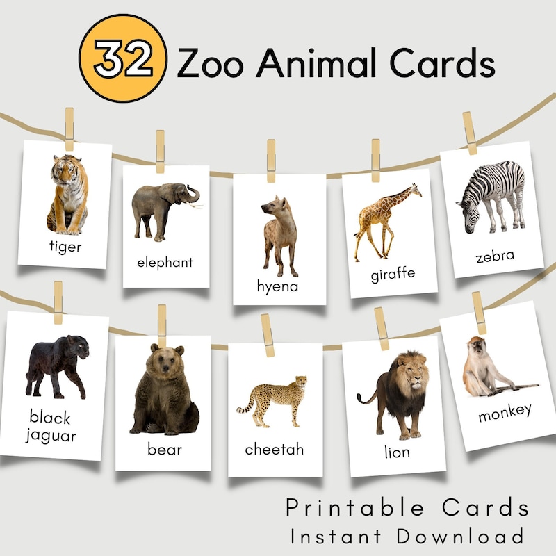 Animal Flash Cards - Etsy
