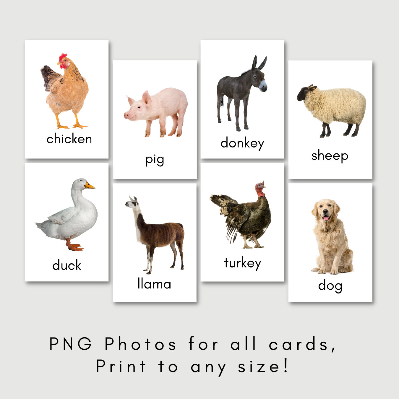 Farm Animal Cards Children Educational Learning Digital Printable ...