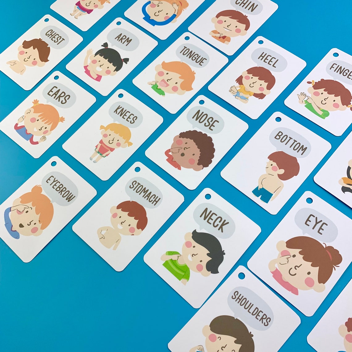 Parts of the Body Flash Cards Instant Download Kids Learning Human ...