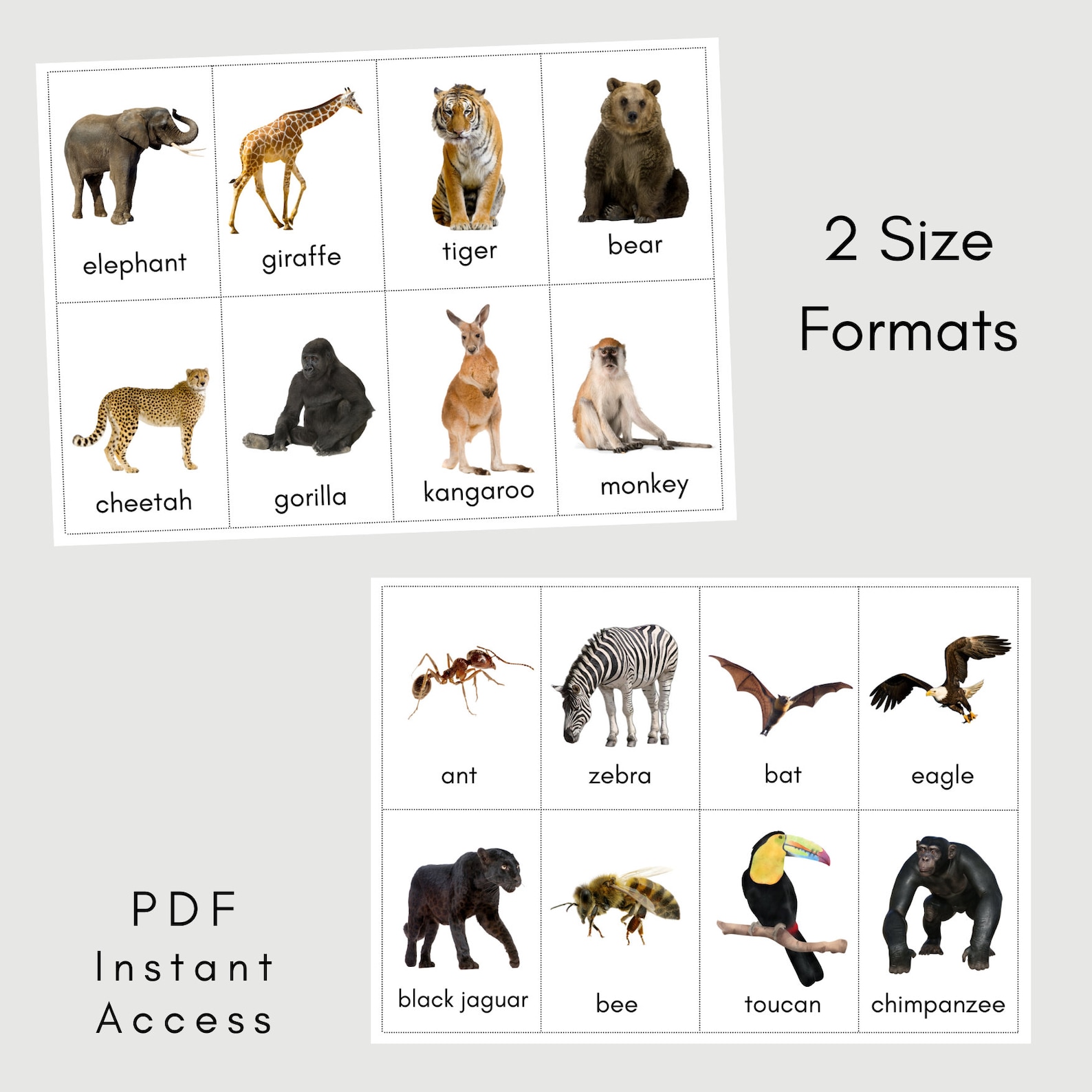 Zoo Animal Cards Flash Cards Children Toddler Printable Digital ...
