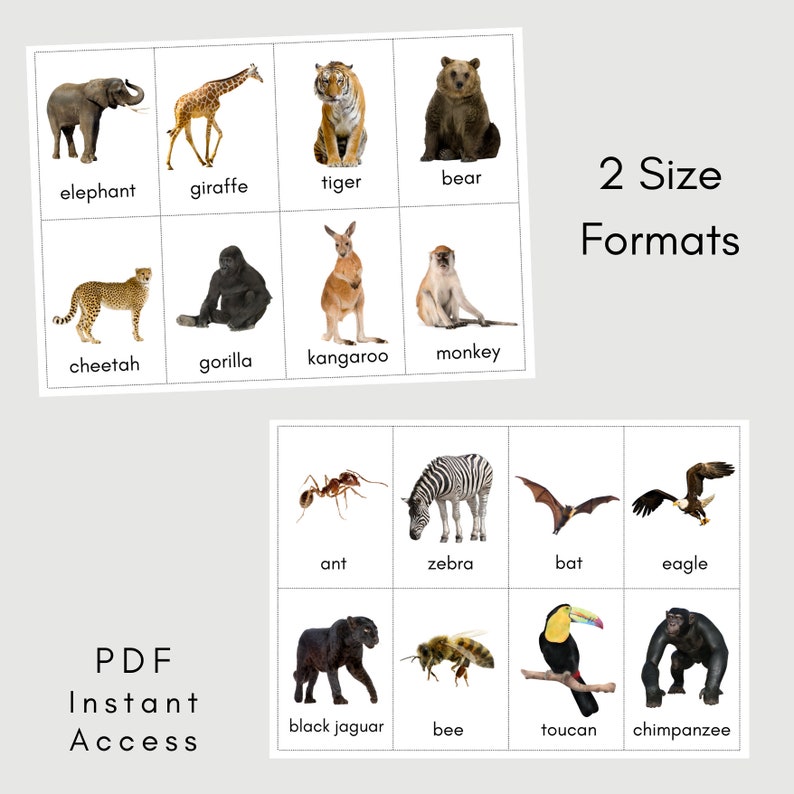 Zoo Animal Cards Flash Cards Children Toddler Printable Digital ...