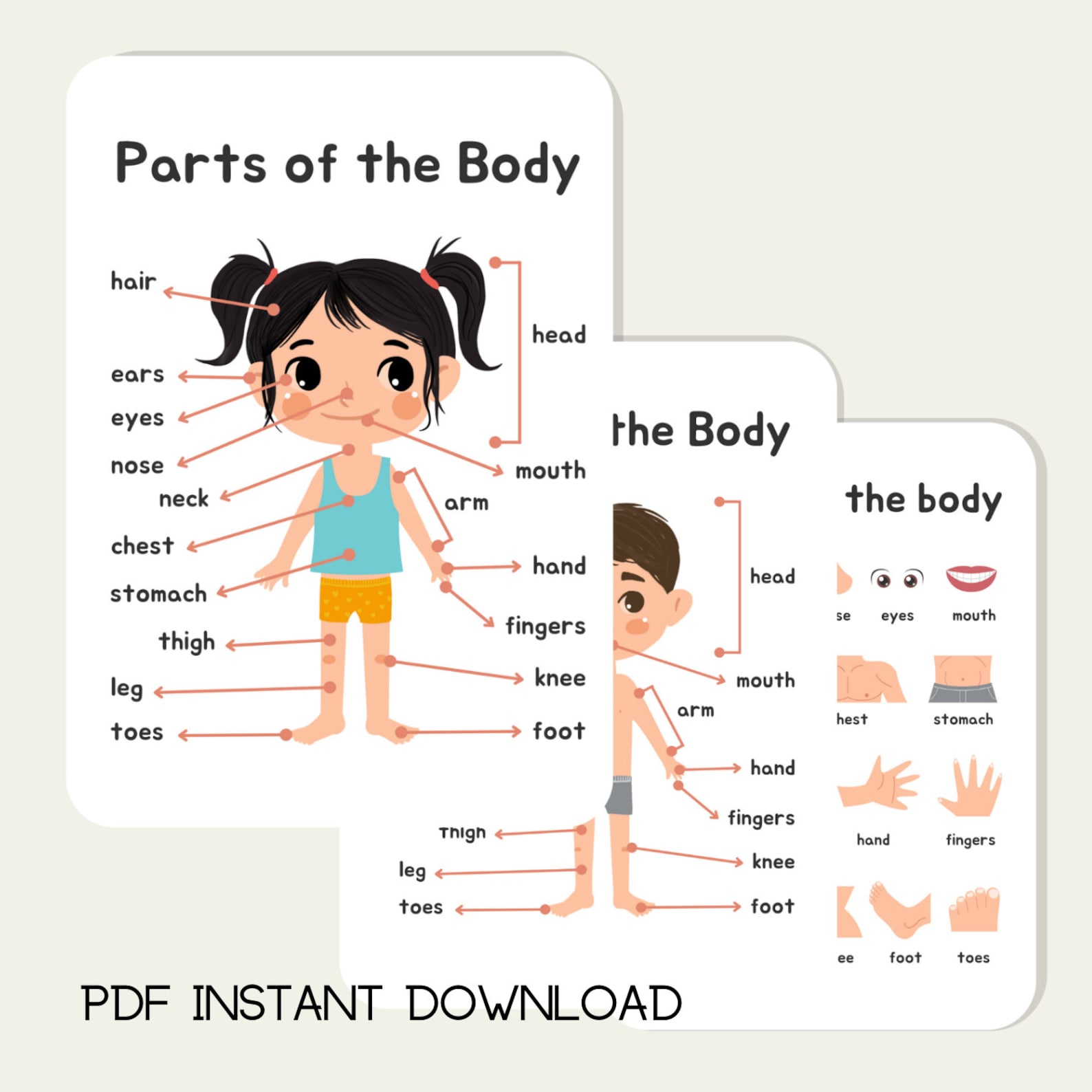 Parts of the Body Posters X 3 Kids Learning Human Anatomy Educational ...