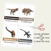 Dinosaur Flash Cards Early Learning Preschool Children Kids Educational ...
