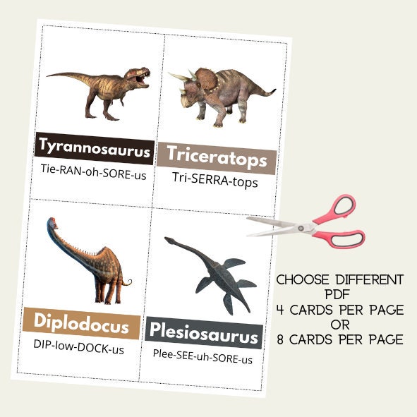 Dinosaur Flash Cards Early Learning Preschool Children Kids Educational ...