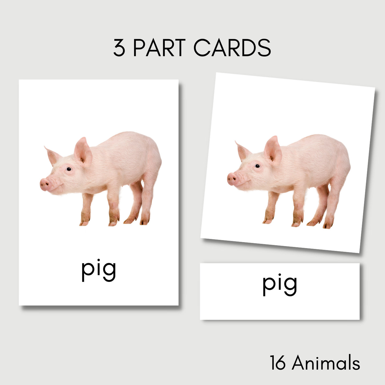 Farm Animal Cards Children Educational Learning Digital Printable ...