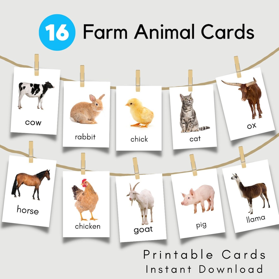 Farm Animal Cards Children Educational Learning Digital Printable ...