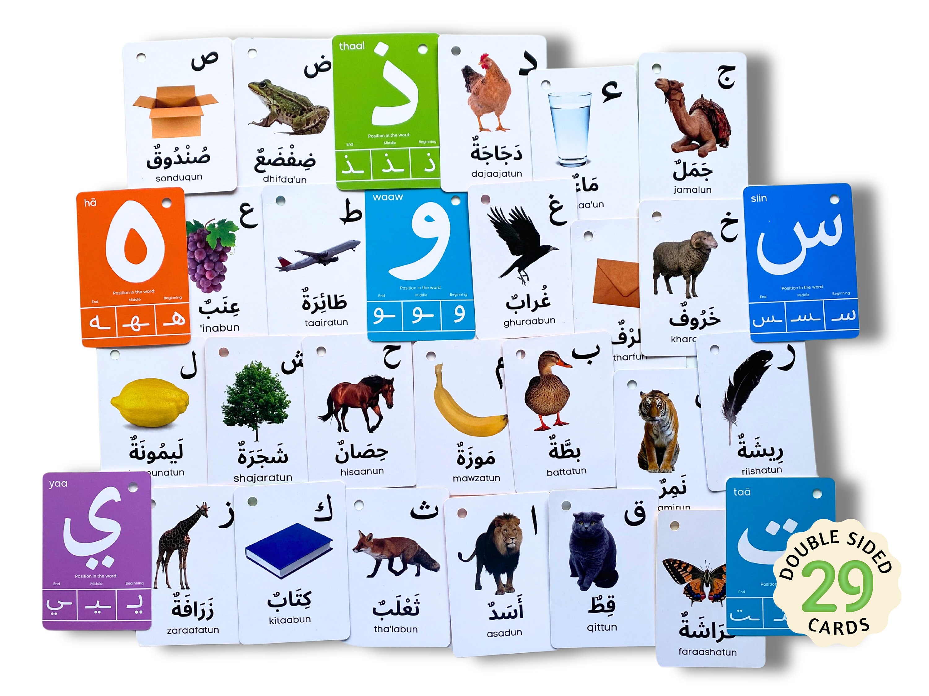 Arabic Alphabet Flash Cards, Children Learning Arabic Words, Islamic ...