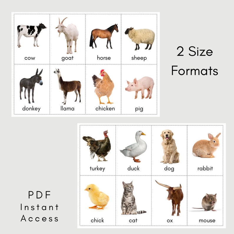Farm Animal Cards Children Educational Learning Digital Printable ...