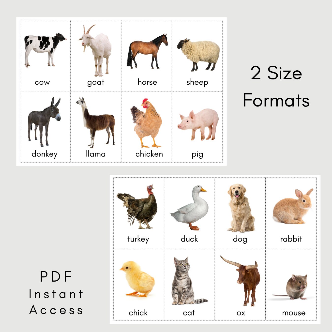 Farm Animal Cards Children Educational Learning Digital Printable ...