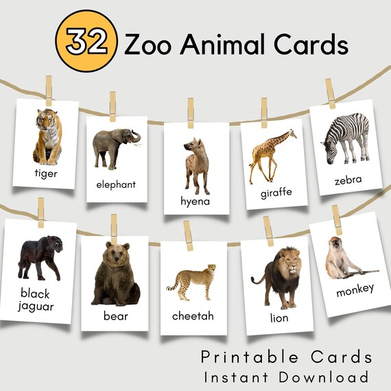 Zoo Animals For Kids