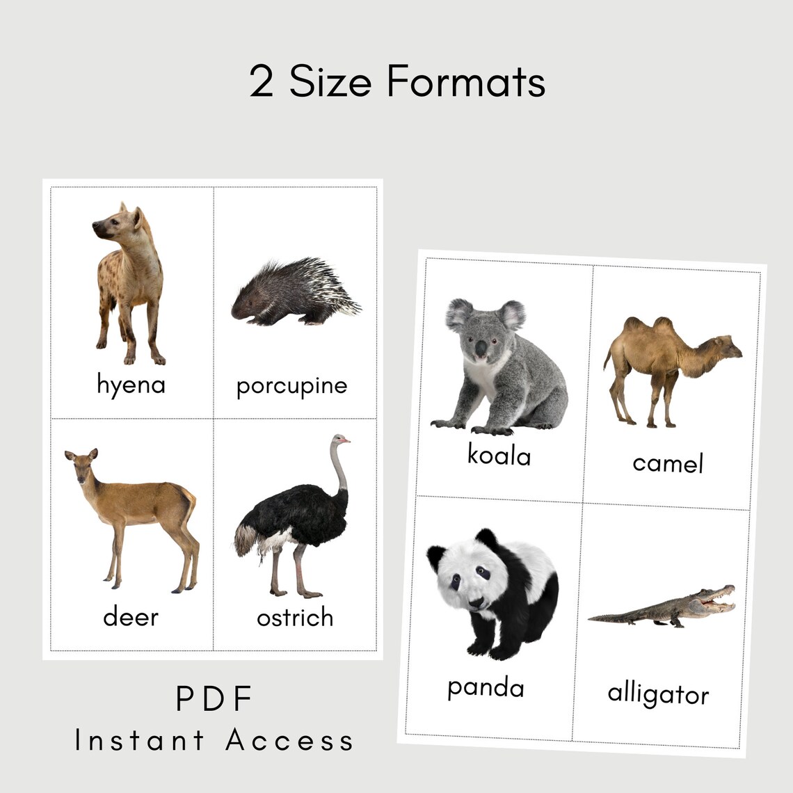 Zoo Animal Cards Flash Cards Children Toddler Printable Digital ...