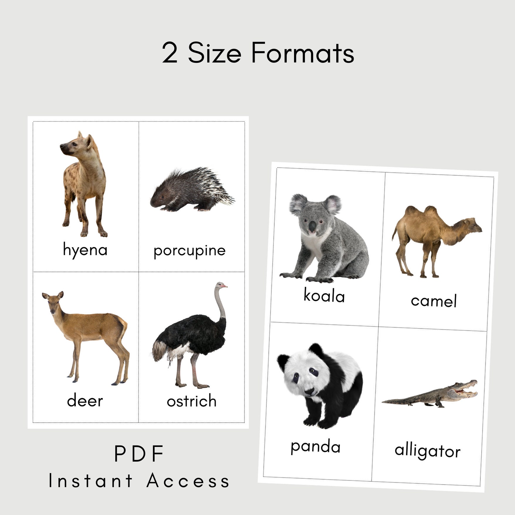 Zoo Animal Cards Flash Cards Children Toddler Printable Digital ...