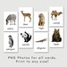 Zoo Animal Cards Flash Cards Children Toddler Printable Digital ...