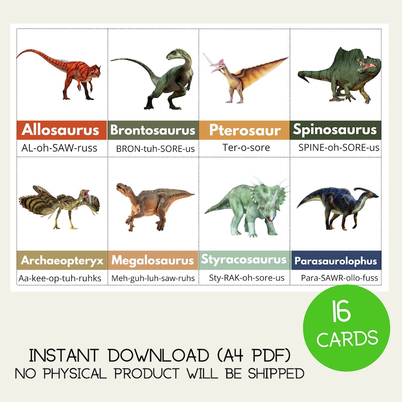 Dinosaur Flash Cards Early Learning Preschool Children Kids Educational ...