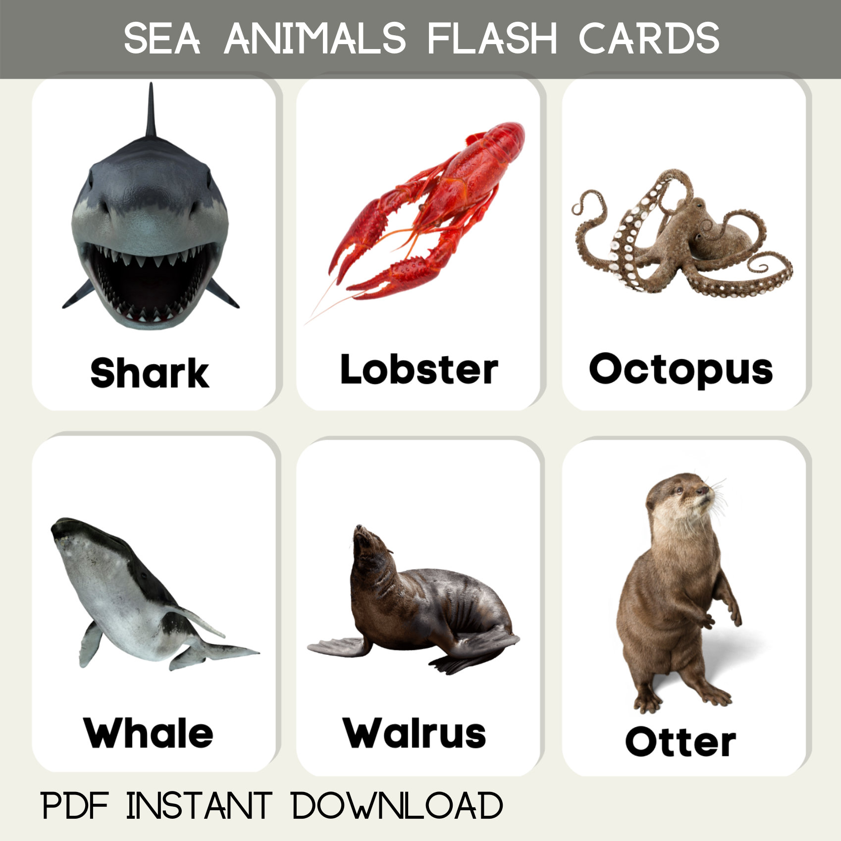 Sea Animals Flash Cards Children Educational Learning PDF Printable ...