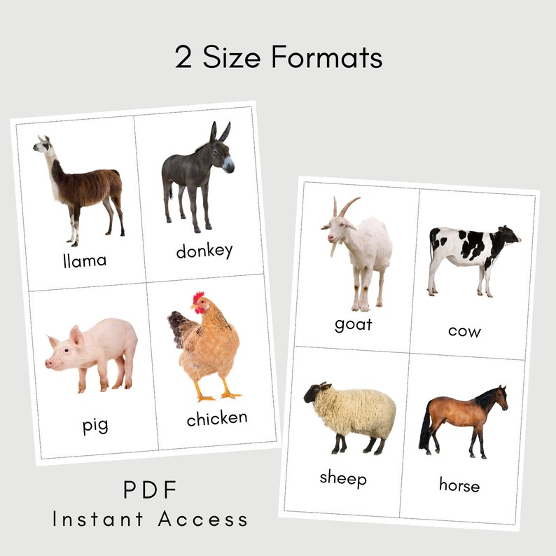 Farm Animal Cards Children Educational Learning Digital Printable ...