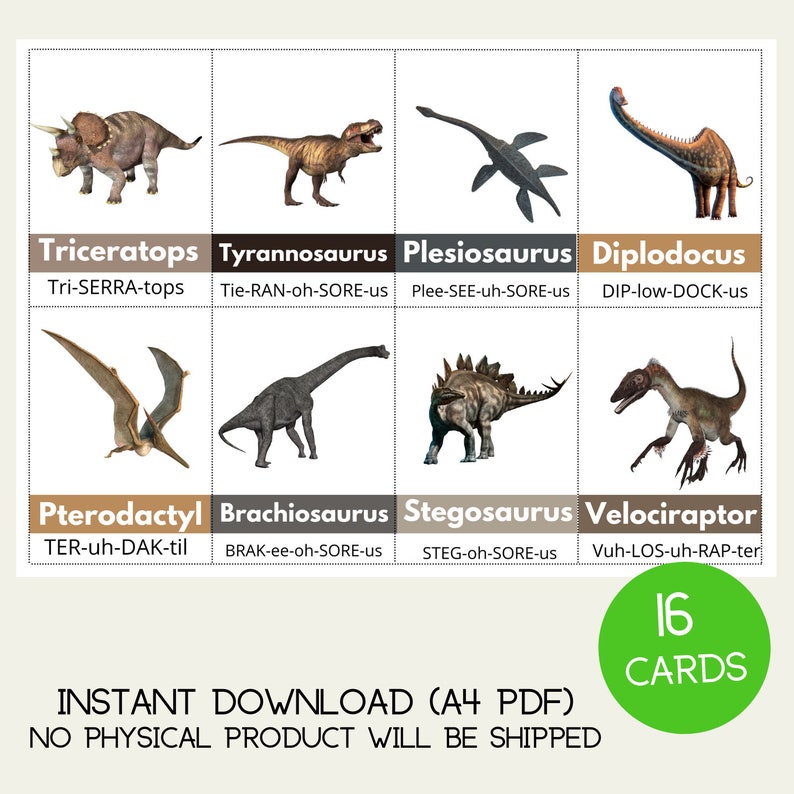Dinosaur Flash Cards Early Learning Preschool Children Kids Educational ...
