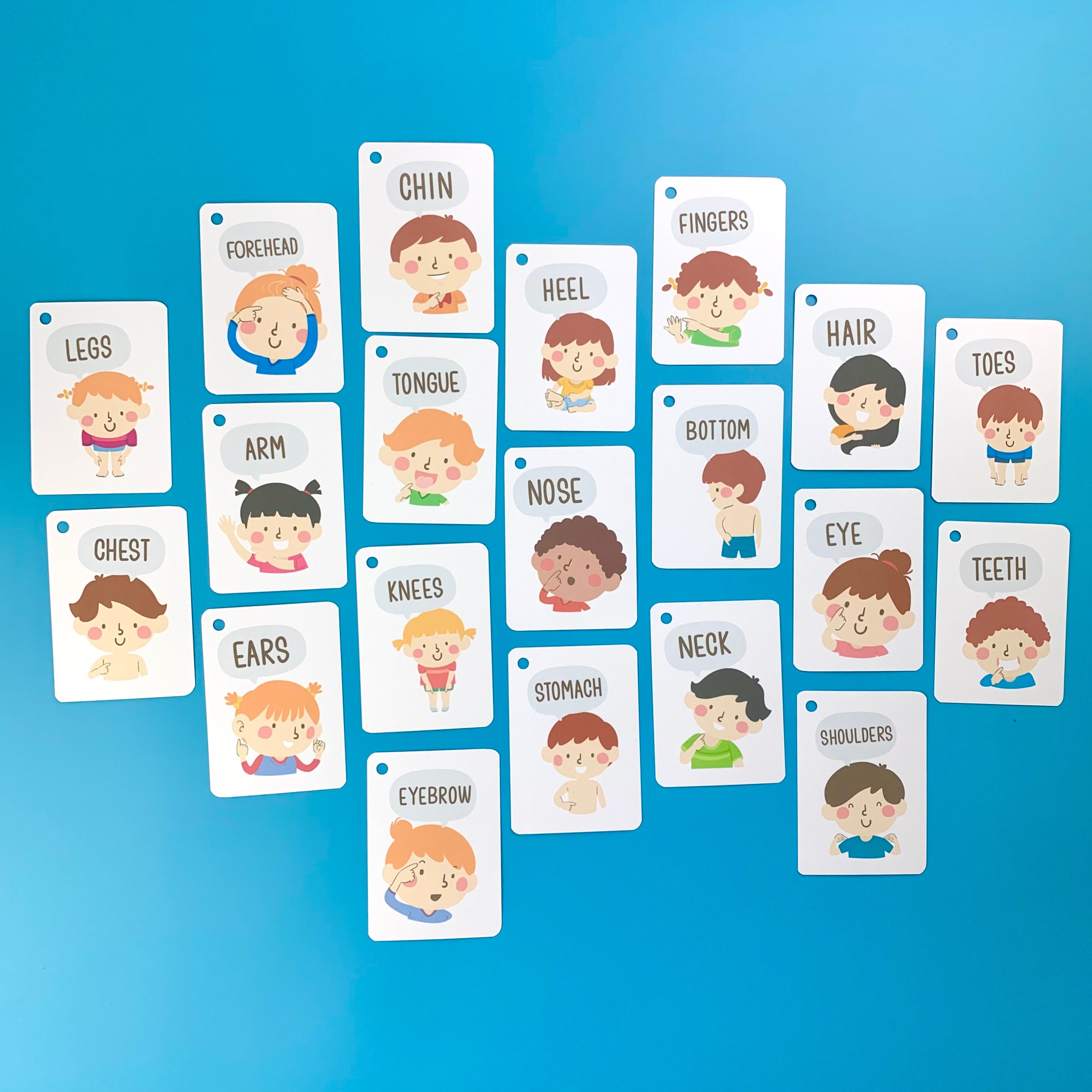 Parts of the Body Flash Cards Instant Download Kids Learning Human ...