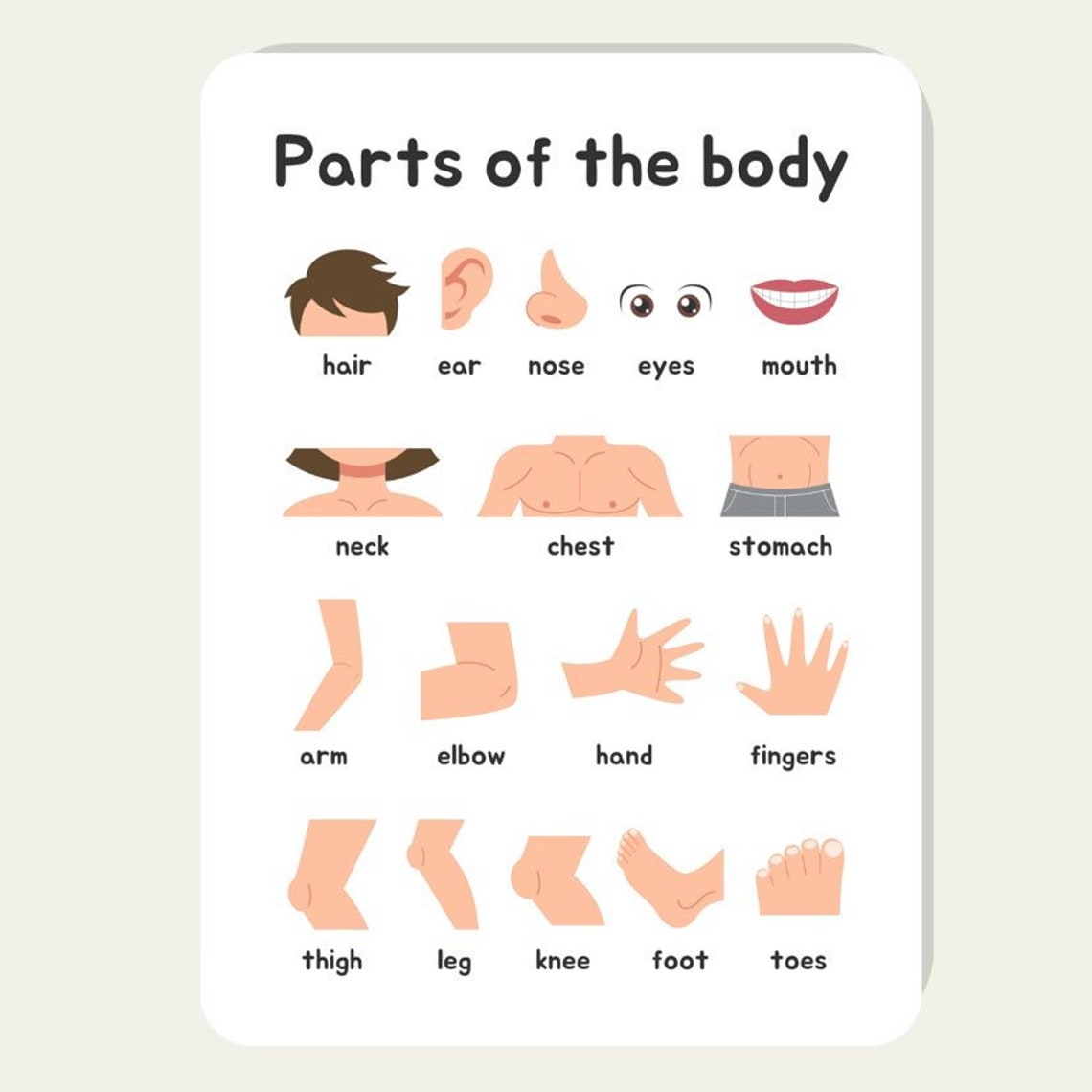 Parts of the Body Posters X 3 Kids Learning Human Anatomy Educational ...