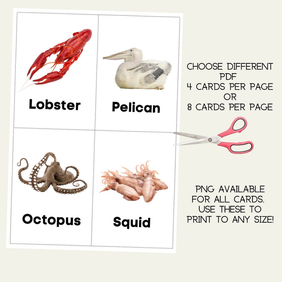 Sea Animals Flash Cards Children Educational Learning PDF Printable ...