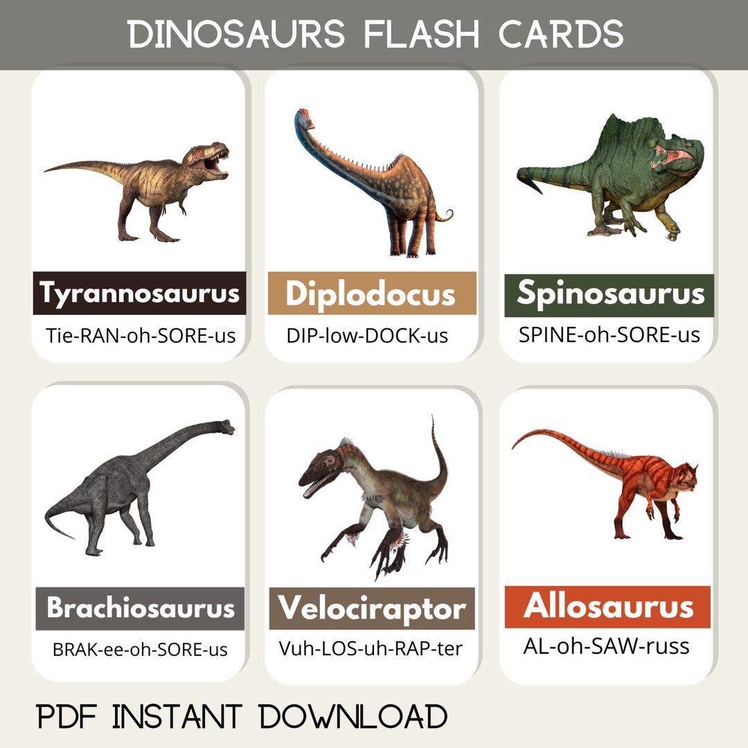Dinosaur Flash Cards Early Learning Preschool Children Kids Educational ...