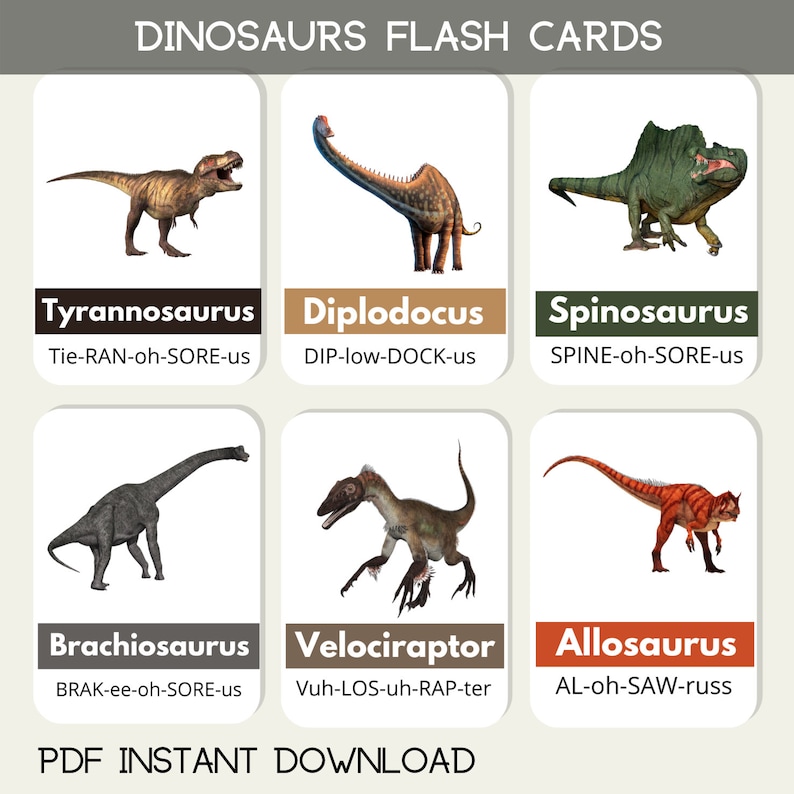 Dinosaur Flash Cards Early Learning Preschool Children Kids Educational ...
