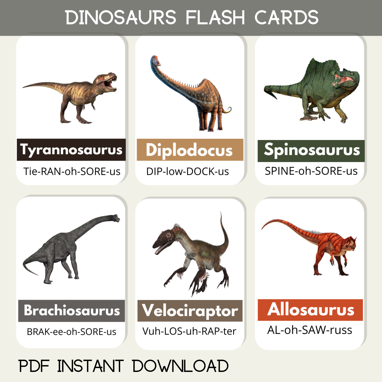 Dinosaur Flash Cards Early Learning Preschool Children Kids Educational ...