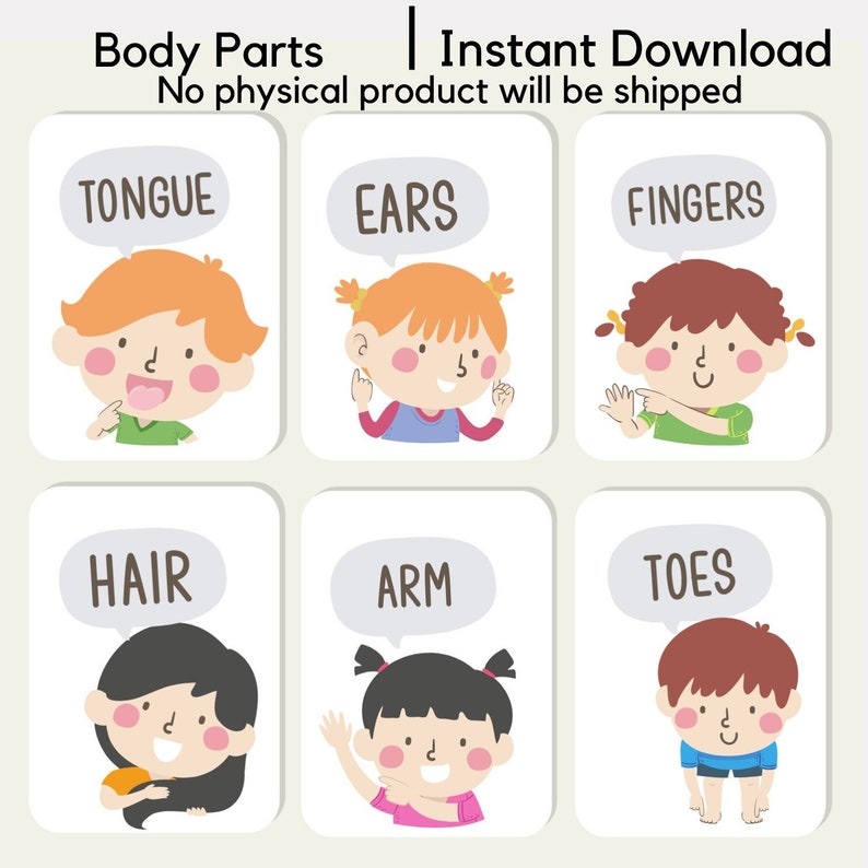 Parts of the Body Flash Cards Instant Download Kids Learning Human ...