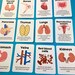 Human Anatomy Flash Cards Parts of the Body Scientific Body Children ...